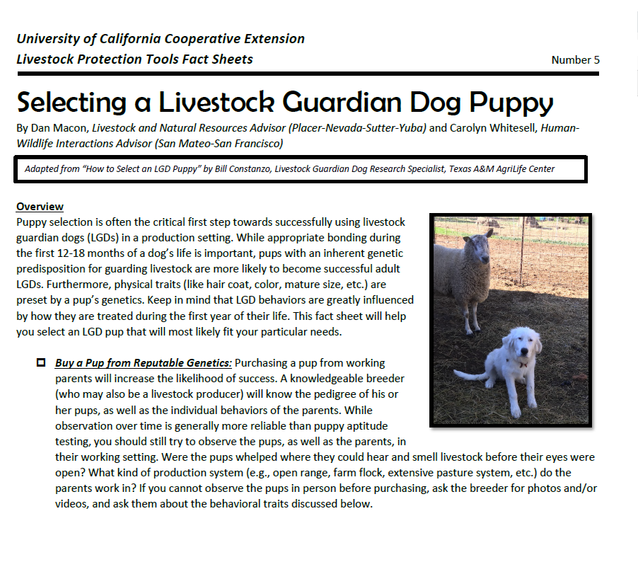 Members Only – Raising Livestock Guardian Dogs Knowledge Share – Eden ...